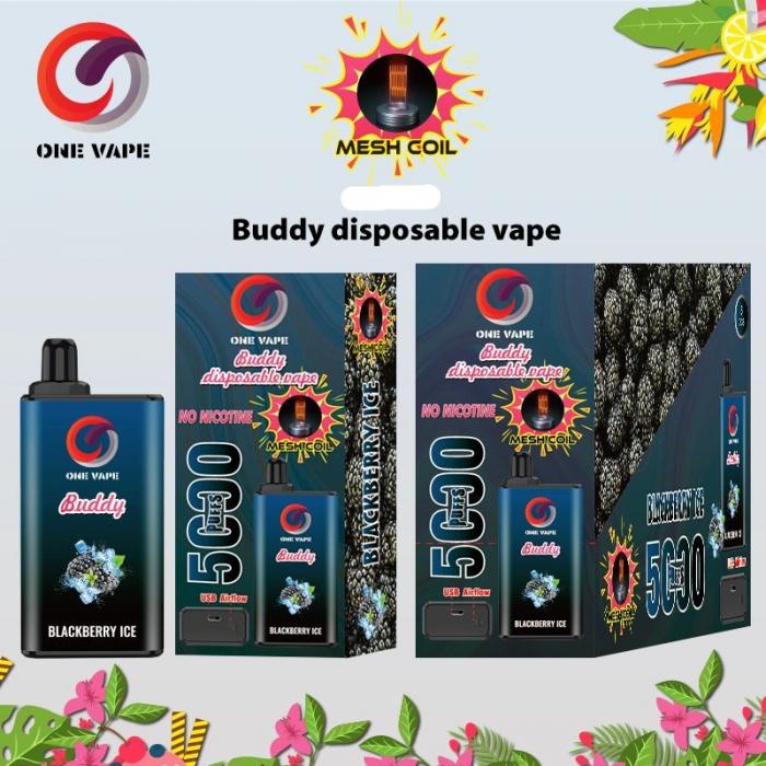 5000 Puffs One Vape Buddy Disposable Vape Mesh Coil Blackberry Ice