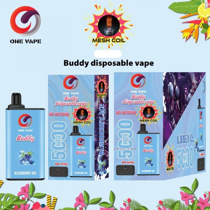 5000 Puffs One Vape Buddy Disposable Vape Mesh Coil Blueberry Ice